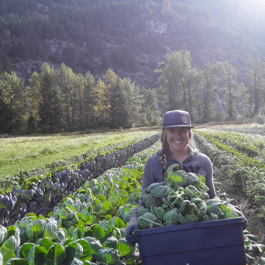 Four Beat Farm || Local produce fresh organic vegetable delivery squamish